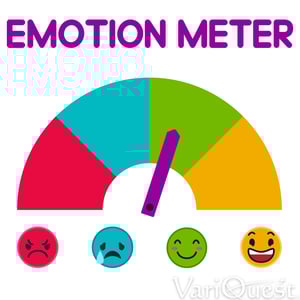 Using an Emotion Meter in Social-Emotional Learning for Students