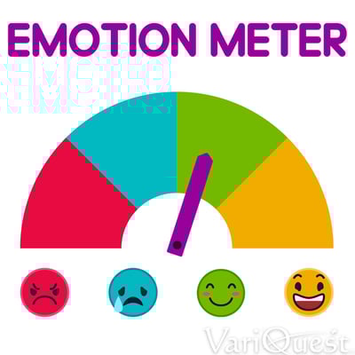 Using an Emotion Meter in Social-Emotional Learning for Students