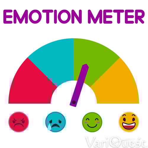 Using an Emotion Meter in Social-Emotional Learning for Students