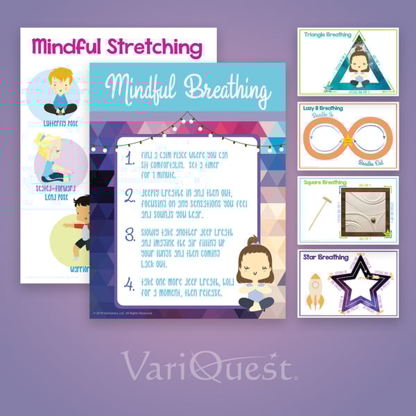 Mindfulness Toolkit | VariQuest