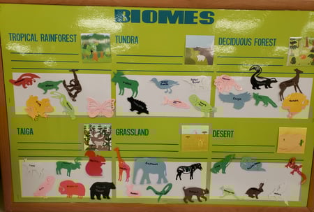 Safe School Elements Include Posters, Floor Markers, and Labels