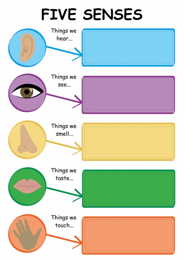 The Importance of Visual Aids in Teaching